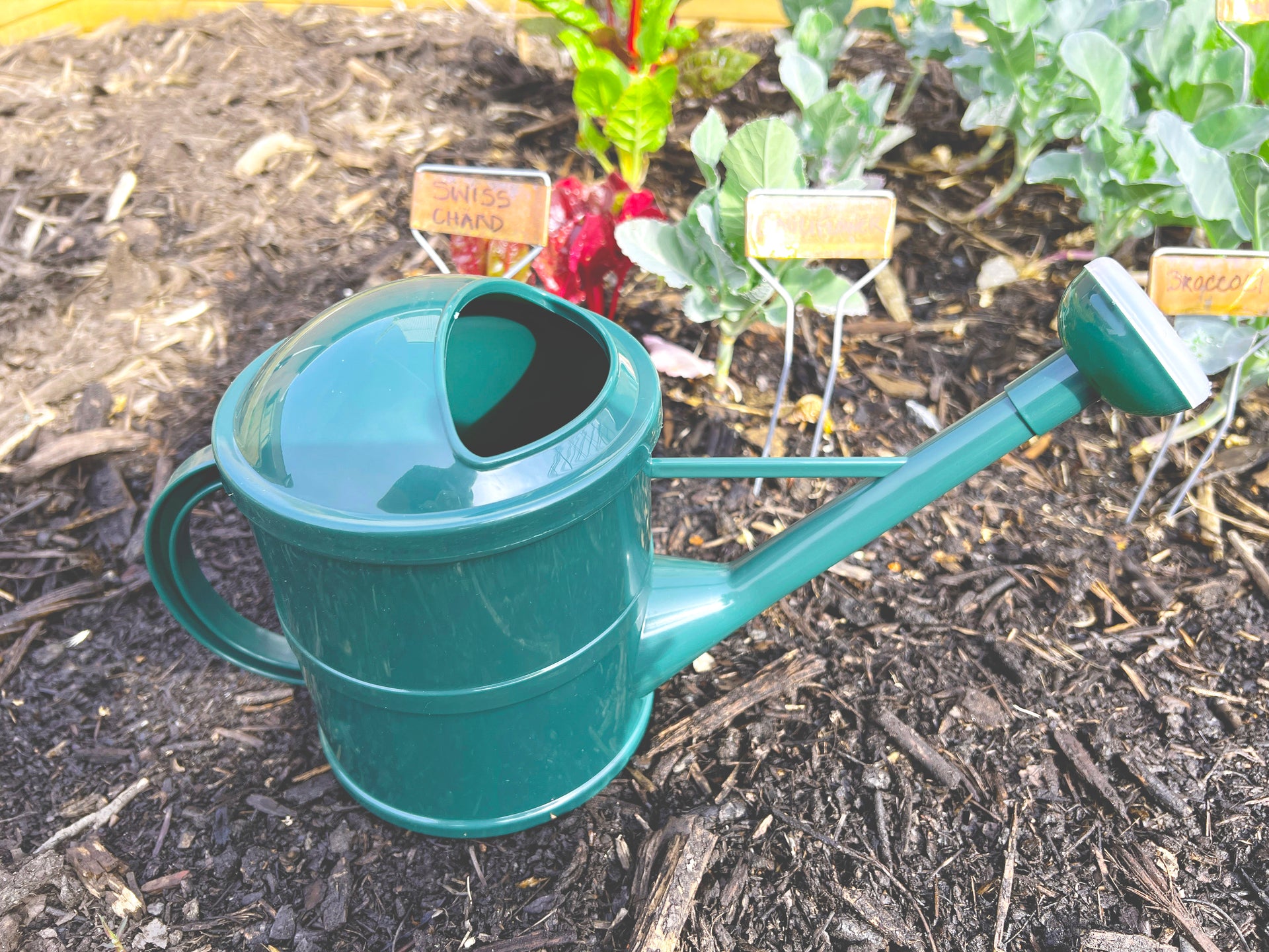 Bosmere 1.5Lt Porous Watering Can – bosmereusa.com